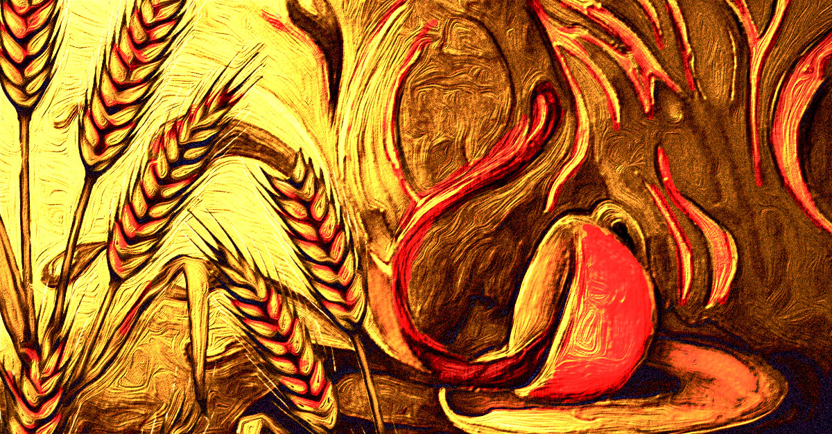 8 Amazing Health Benefits Of Barley Tea